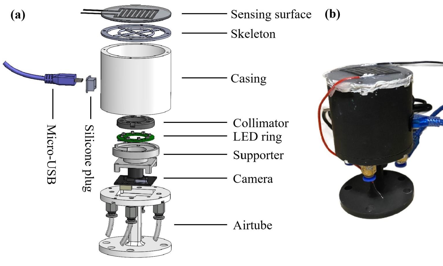 Zhuoran SUN | The University of Tokyo